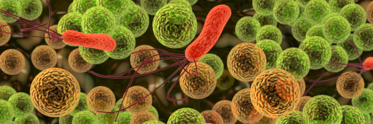 Understanding the Role of Bacteria in Your Septic System